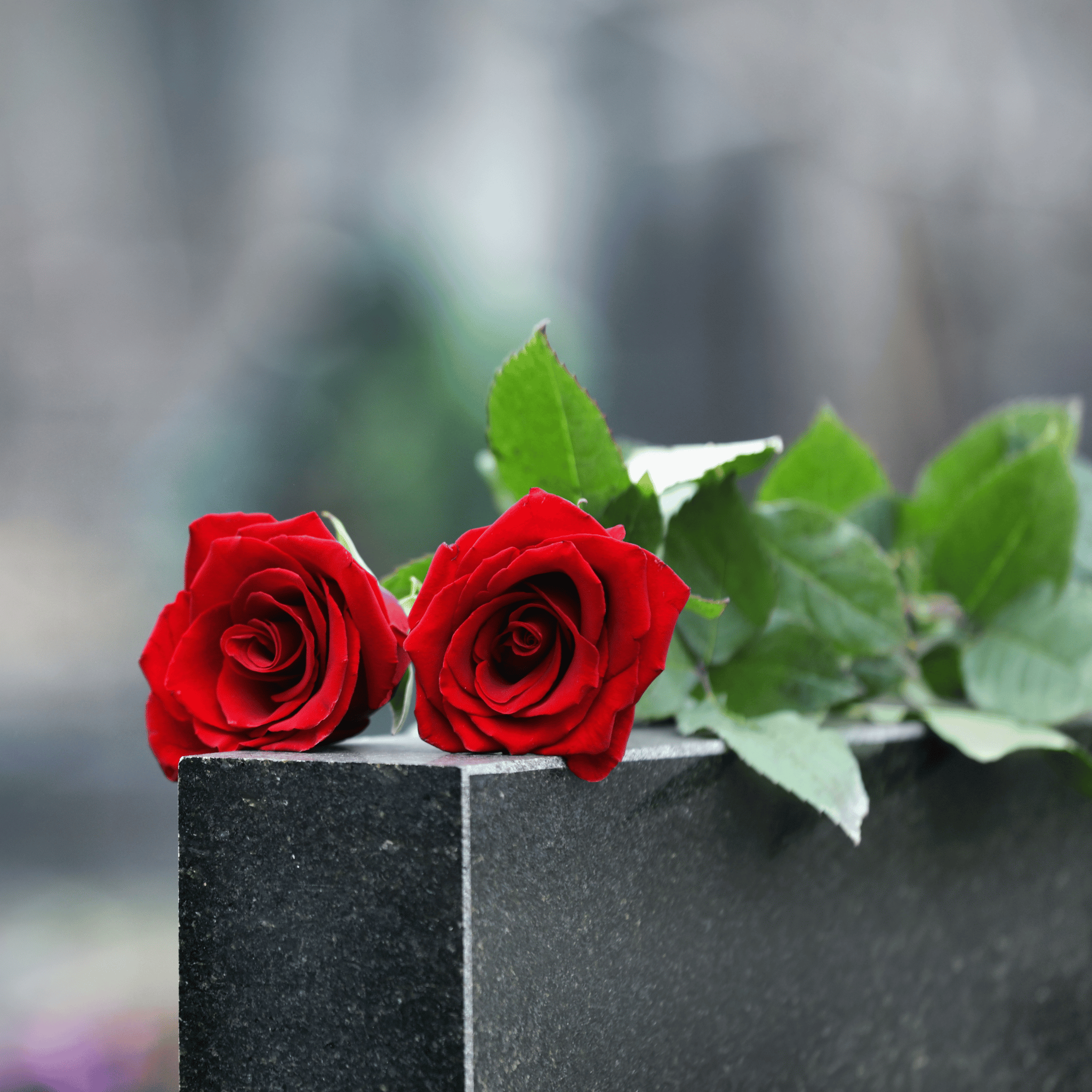 What Happens to CPF Savings When You Pass Away? The Importance of CPF Nomination in Singapore ...